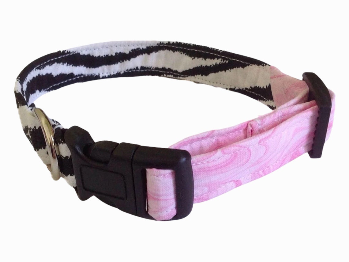 Zebra Animal Print Collar for Girl Dogs or Cats - Black & White Striped ...