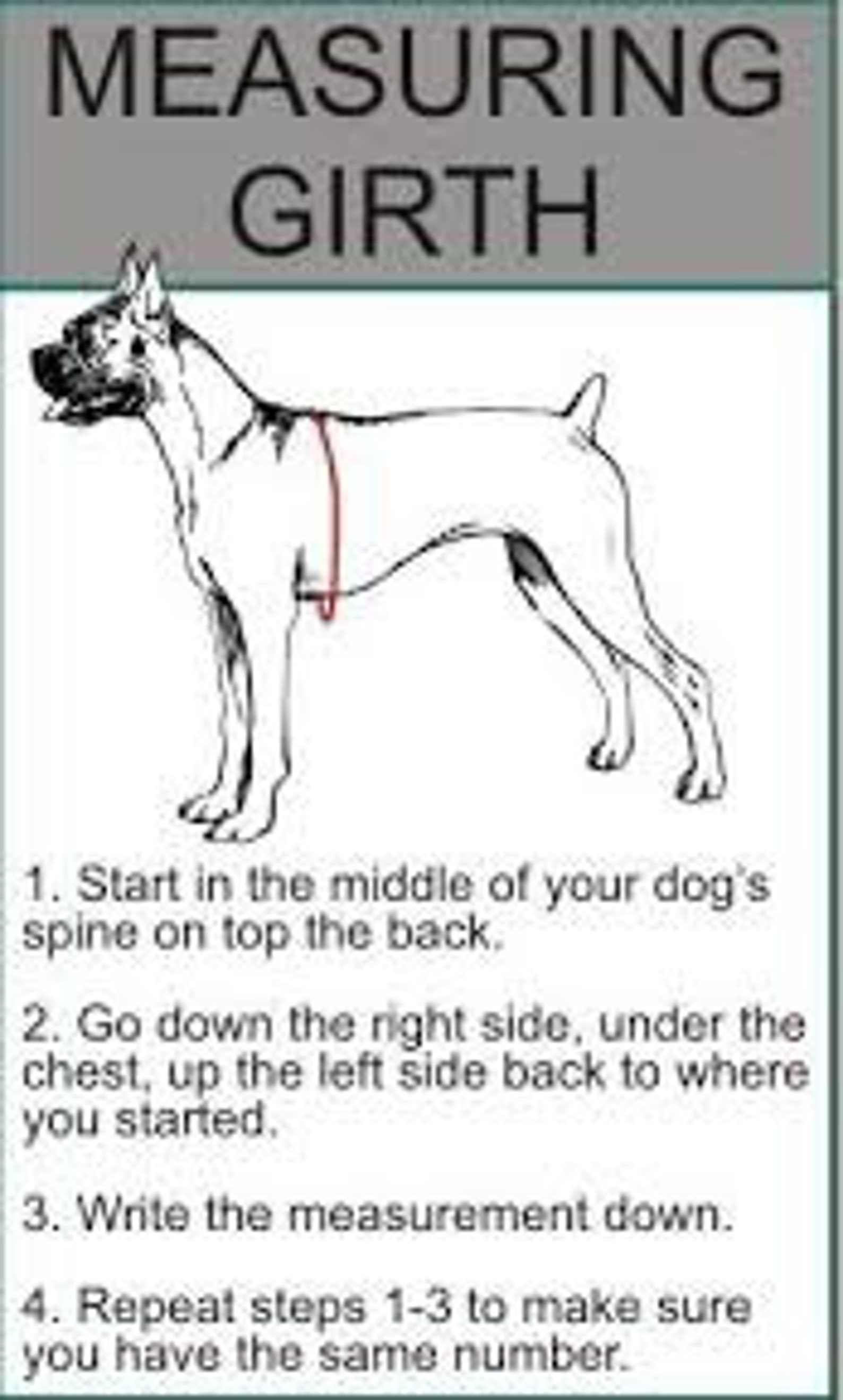 Adjustable Bumble Bee Roman Dog Harness //matching Leash Option ...