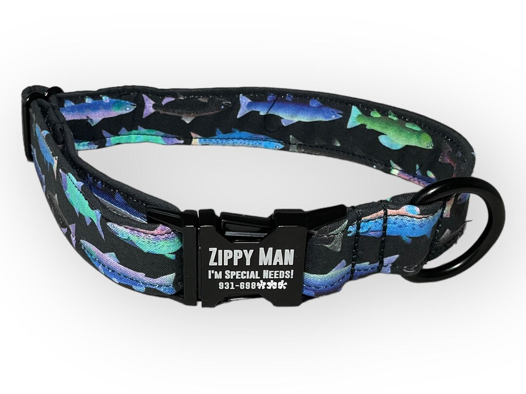 Personalized Fish Dog Collar- Engraved Rainbow Buckle- Colorful Fish on ...