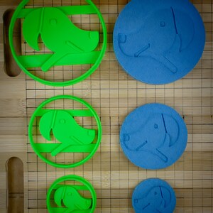 Dog or Bird Reversible Figure Ambiguous Image - Etsy