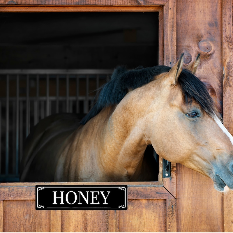 Horse Stall Signs - Etsy