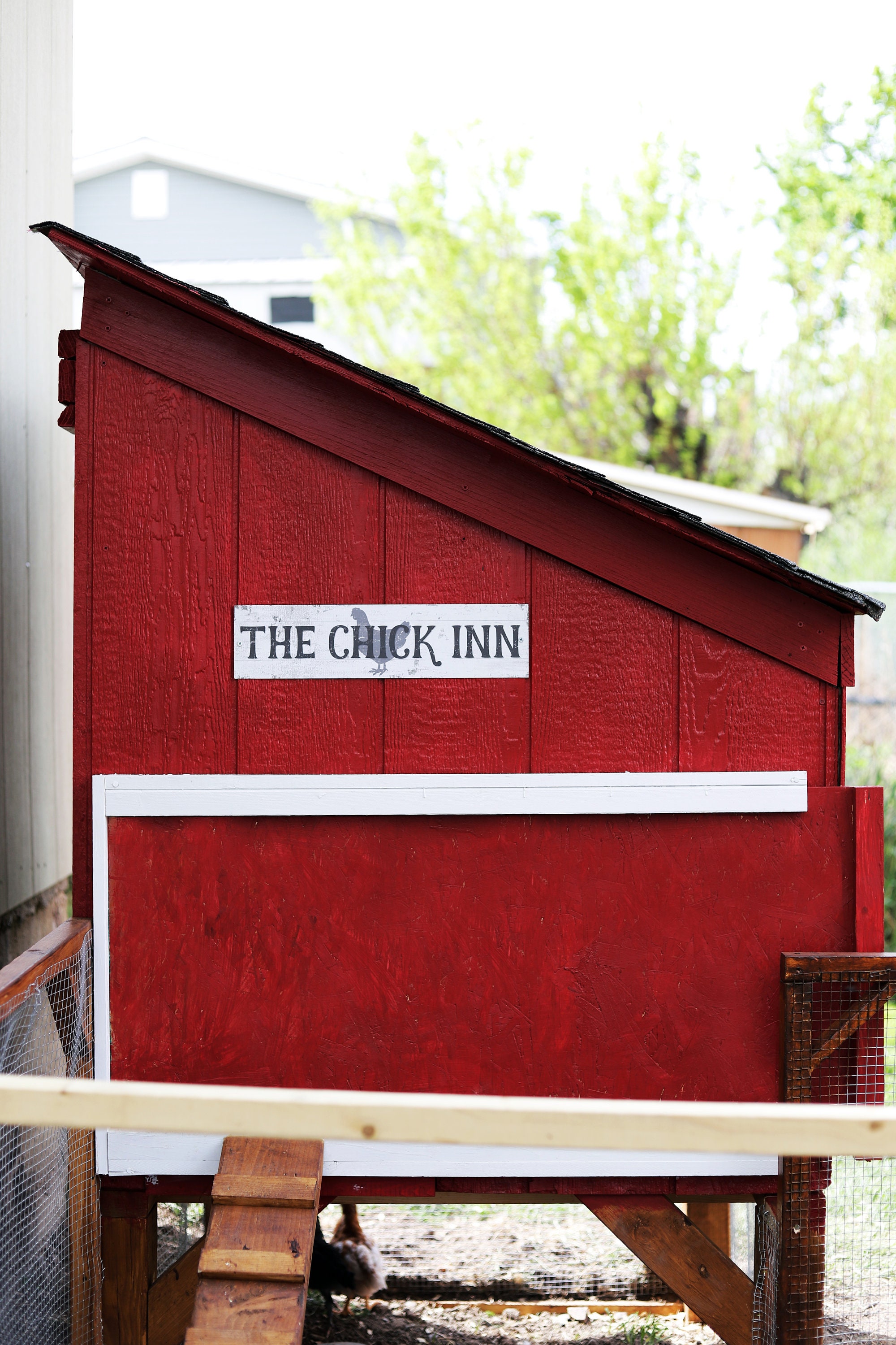 Chicken Coop Sign the Chick Inn Backyard Chicken Chicken | Etsy