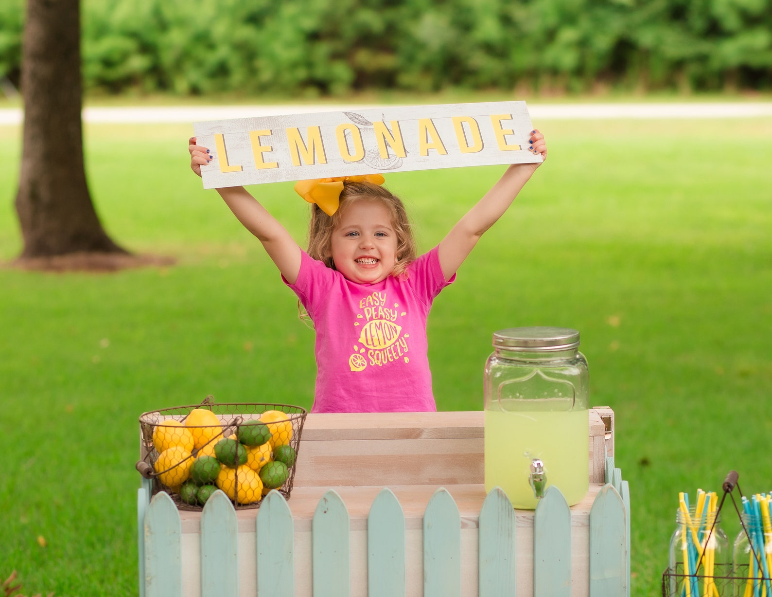 Lemonade Sign Lemonade Stand Sign Lemonade Stand Decor - Etsy