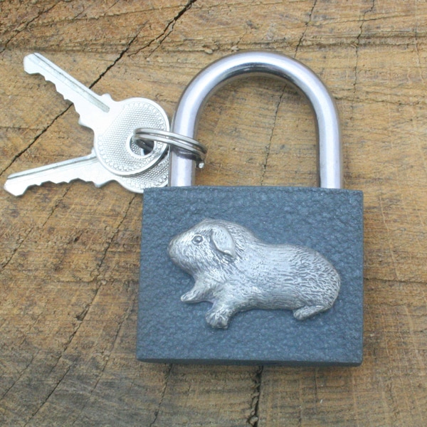 Rabbit Padlock - Etsy
