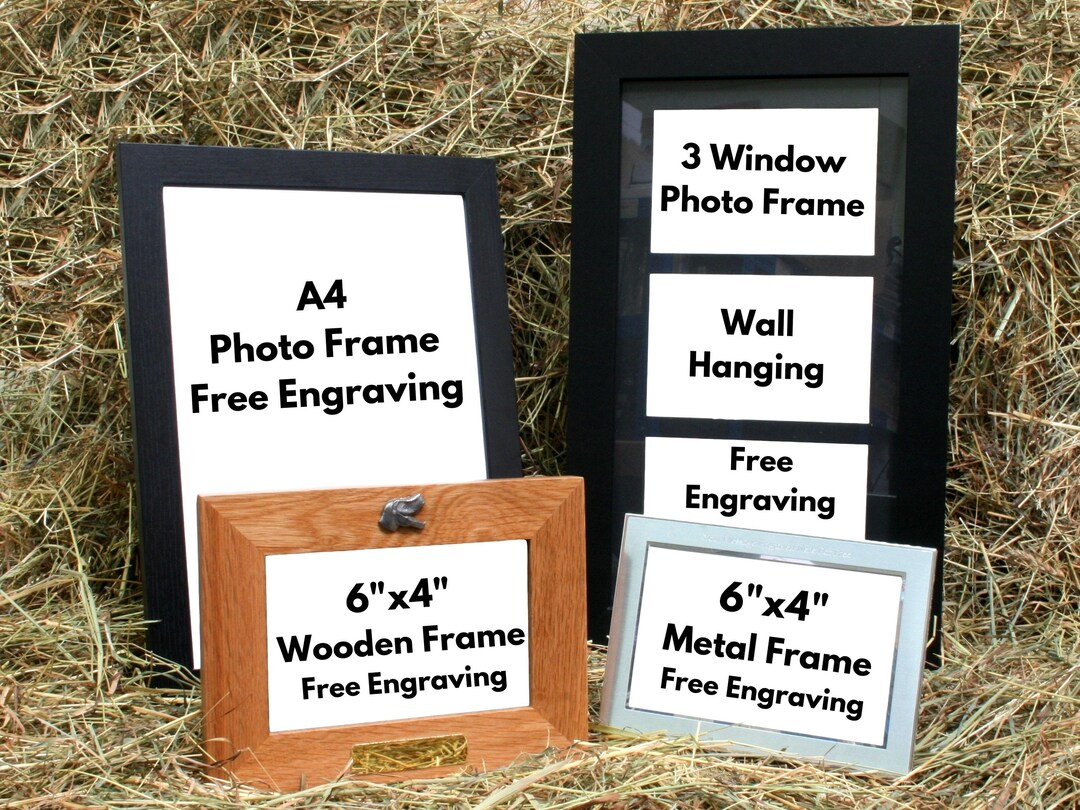 Dinosaurs and Prehistoric Personalised Wood or Metal Picture Frame - 4 ...