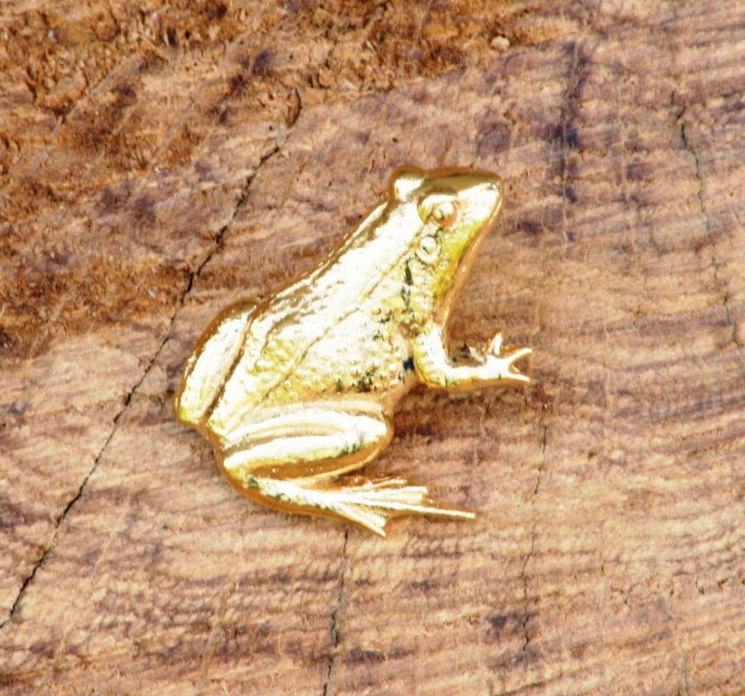Frog Gold Plated Pin Lapel Badge Fathers Day Gift - Etsy