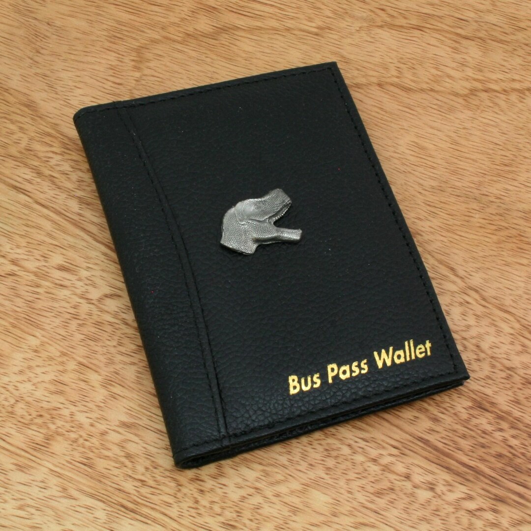 Dinosaurs and Prehistoric Bus & Train Pass Wallet ID Holder in Black ...