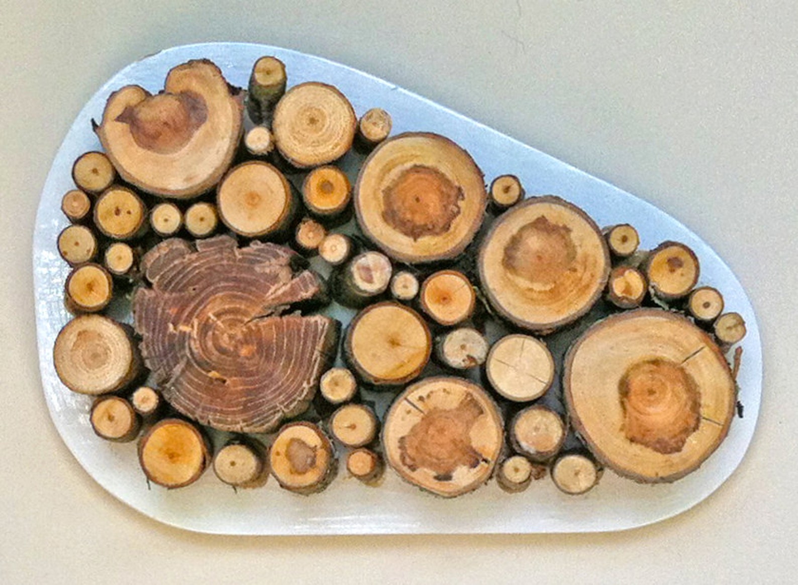 Unique, Modern, Rustic, Wood Slices Wall Art - Etsy