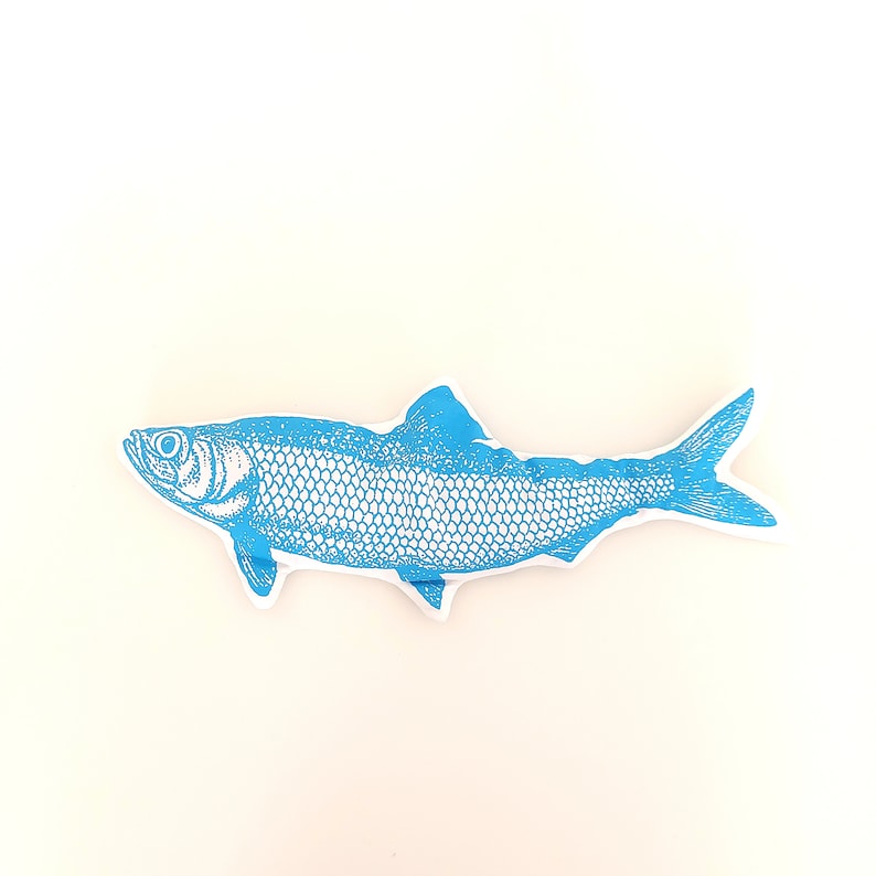 Fish Heat Pack - Microwaveable - Lentils Pillow - Etsy