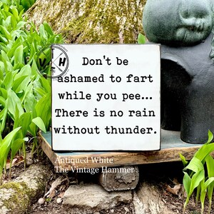 Funny Bathroom Wood Sign: Fart Thunder Quote, Hand Painted Decor - Etsy