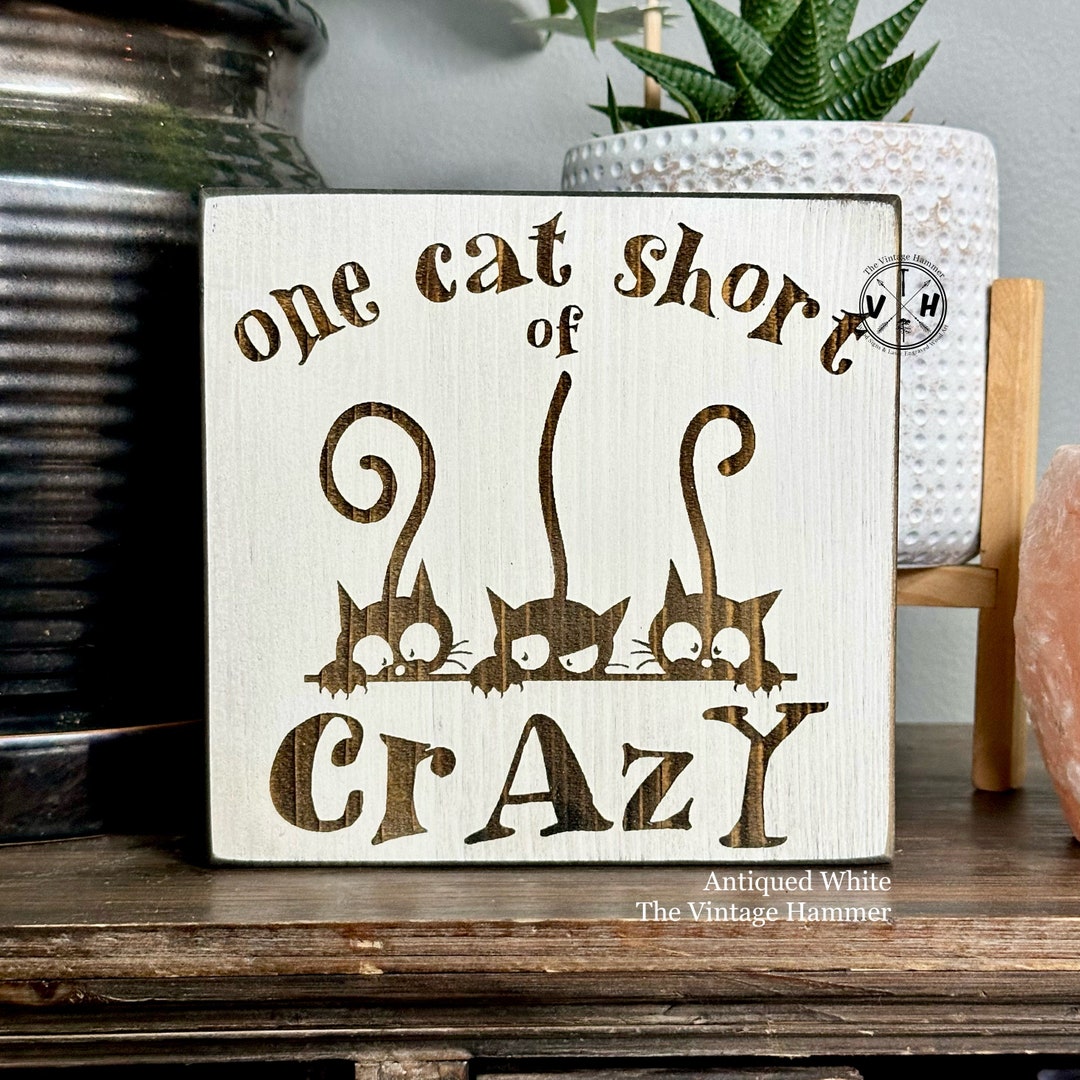 Engraved Wood Cat Lady Sign: Funny Kitten Decor - Etsy