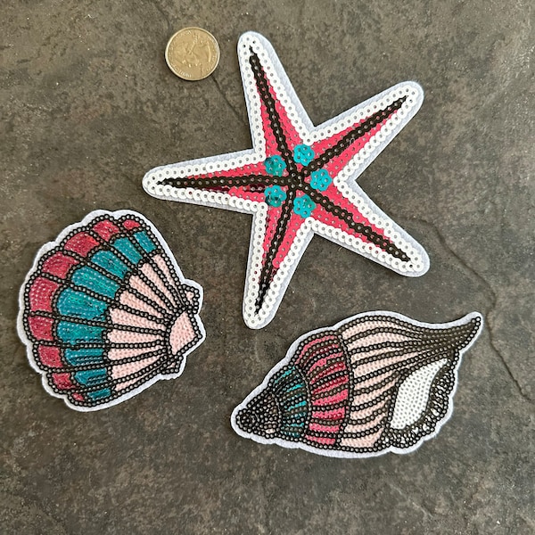 Seashell Applique - Etsy