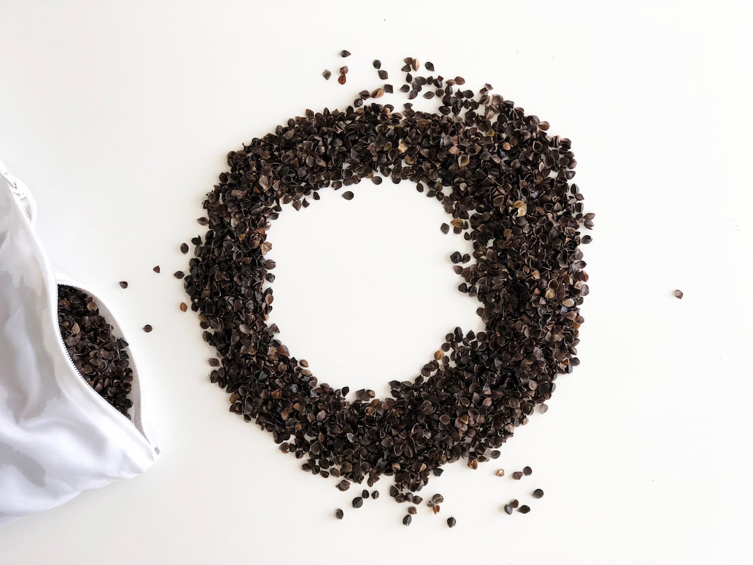 Organic Buckwheat Insert (inner Pillow) | Japanese Size | 14" X 20 ...