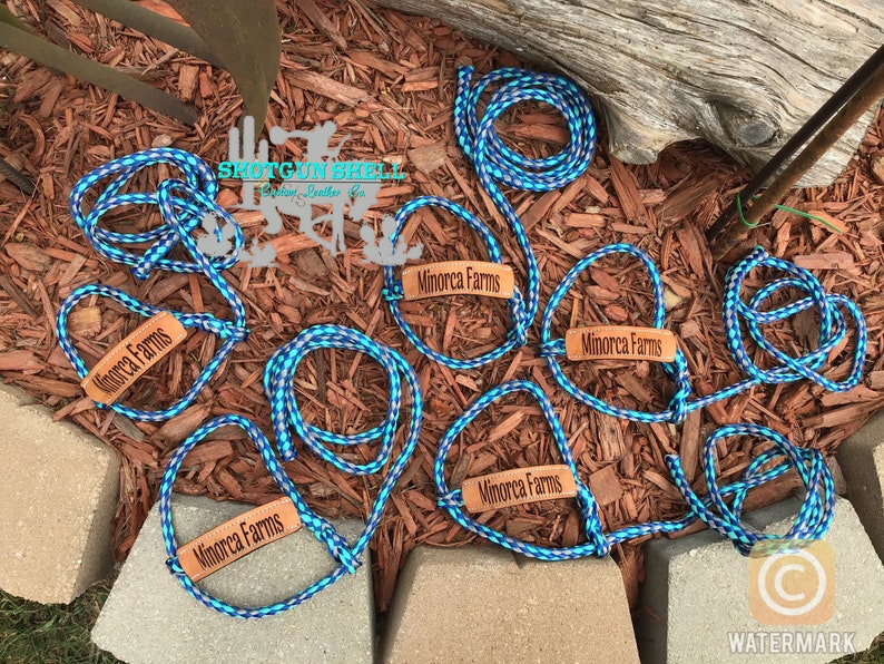 Custom Sheep or Goat Halters - Etsy