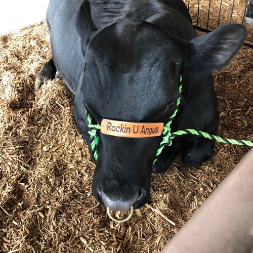Custom Cattle Rope Halters - Etsy