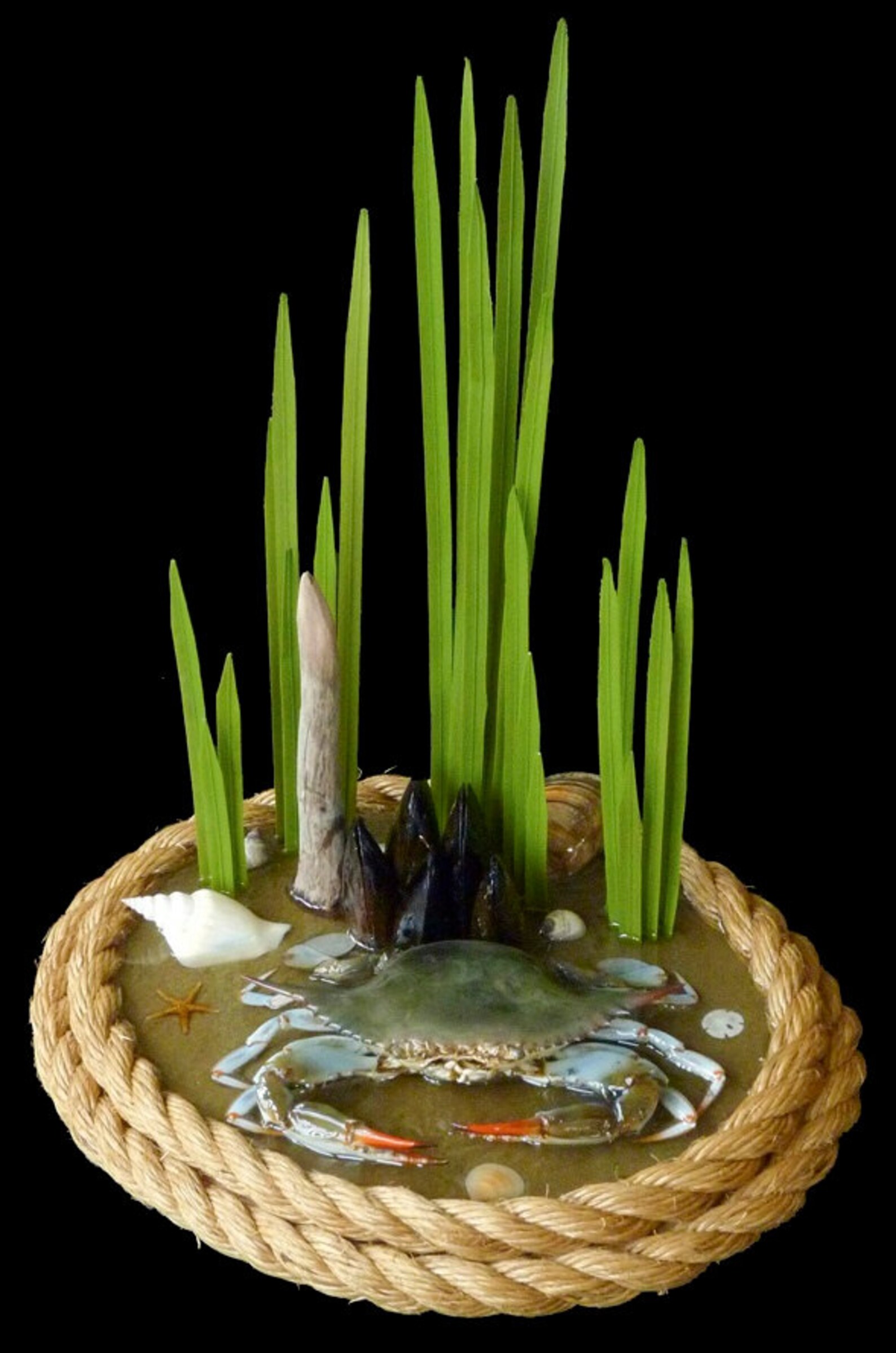 Small Real Blue Crab Lamps Lets You Bring the Outdoors Indoors Perfect ...