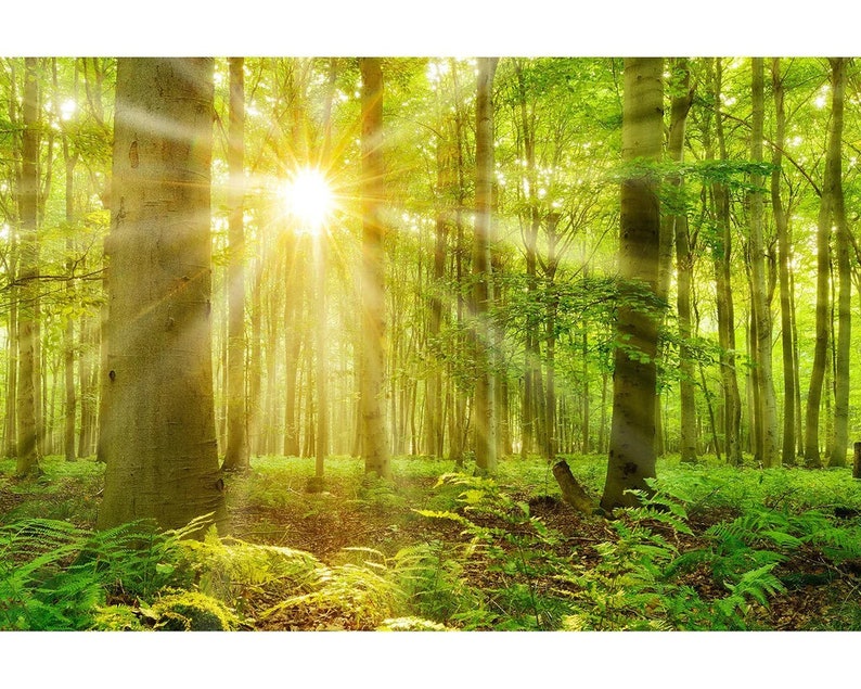 27 Light Rays Photoshop Overlay, Sunlight Photoshop Overlay,light Flare ...