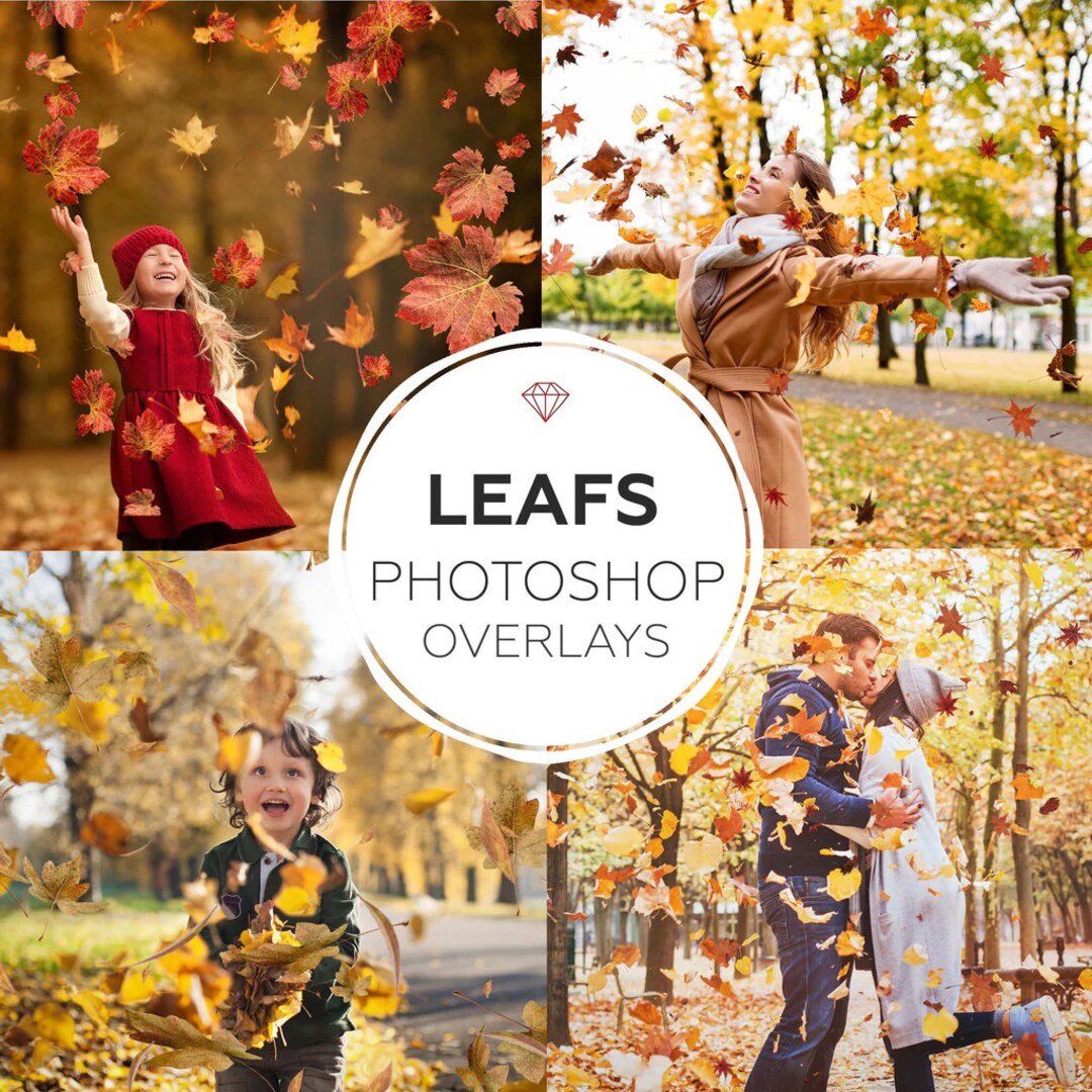 27 Falling Leafs Photoshop Overlay, Leaf Overlay,autumn Leaves Overlay ...