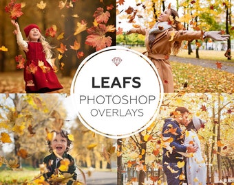 100 Autumn Leaves Photoshop Overlays Falling Leaves Autumn - Etsy