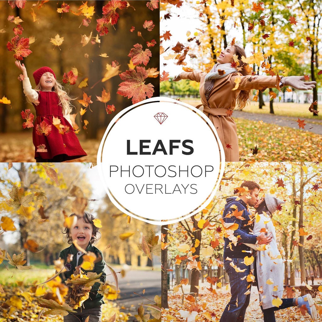 27 Falling Leafs Photoshop Overlay, Leaf Overlay,autumn Leaves Overlay ...