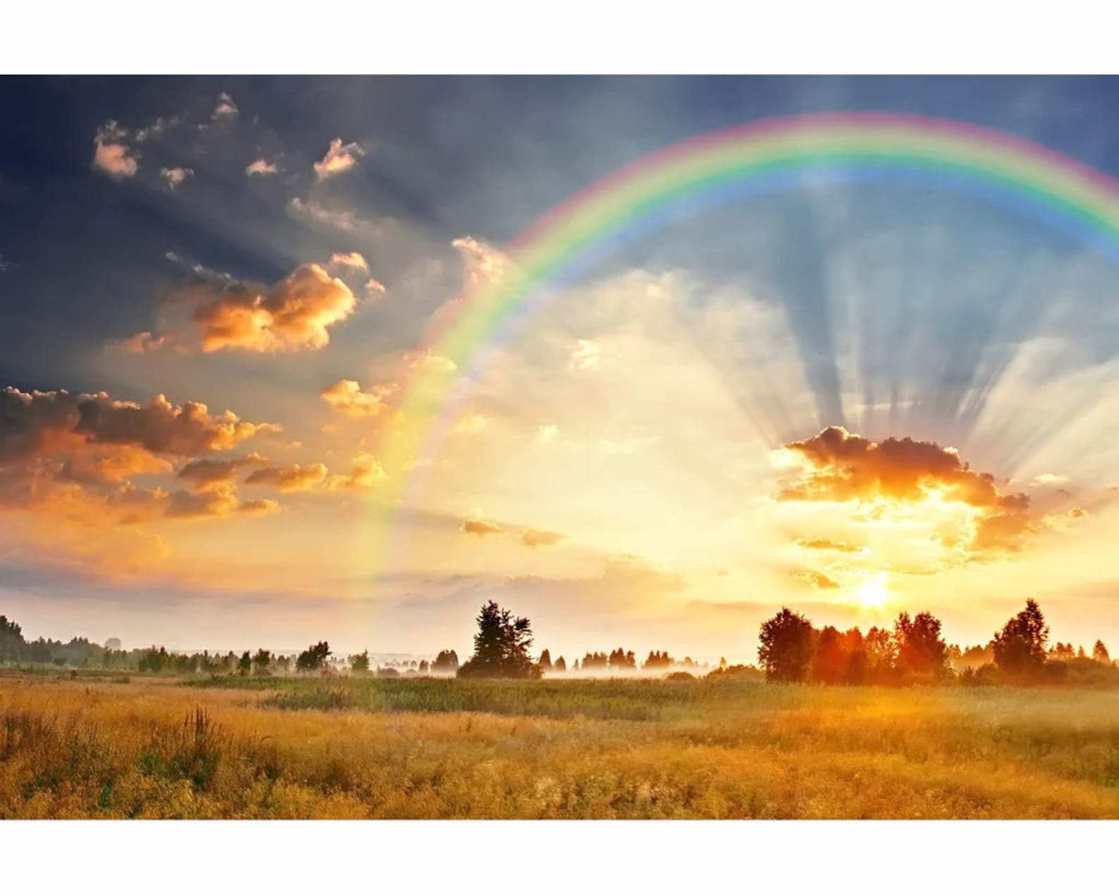 Realistic Rainbow Photoshop Overlay,rainbow Photoshop Overlay,rainbow ...