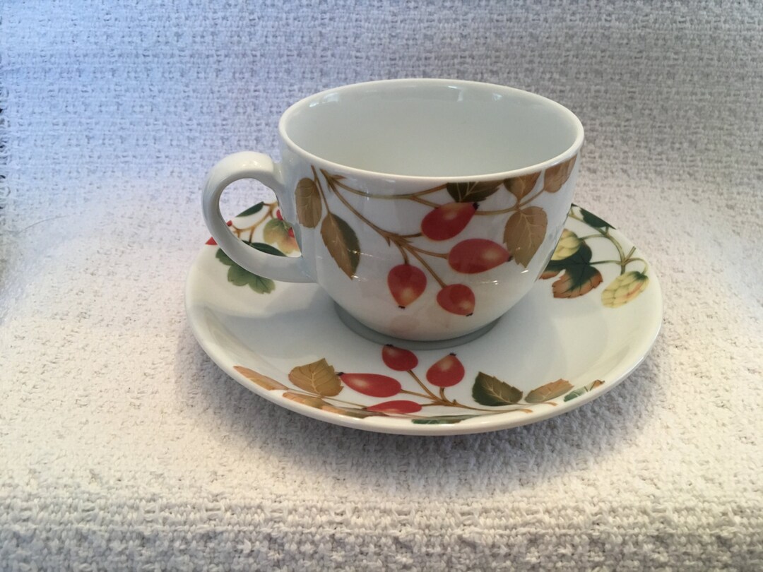 Apollo Porcelain English Country Fruit Designed by Nancy Calhoun, Cup ...