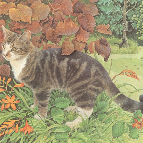 Lesley Anne Ivory Cat Art Print. Soft Toys cats Among the Toys Vintage ...