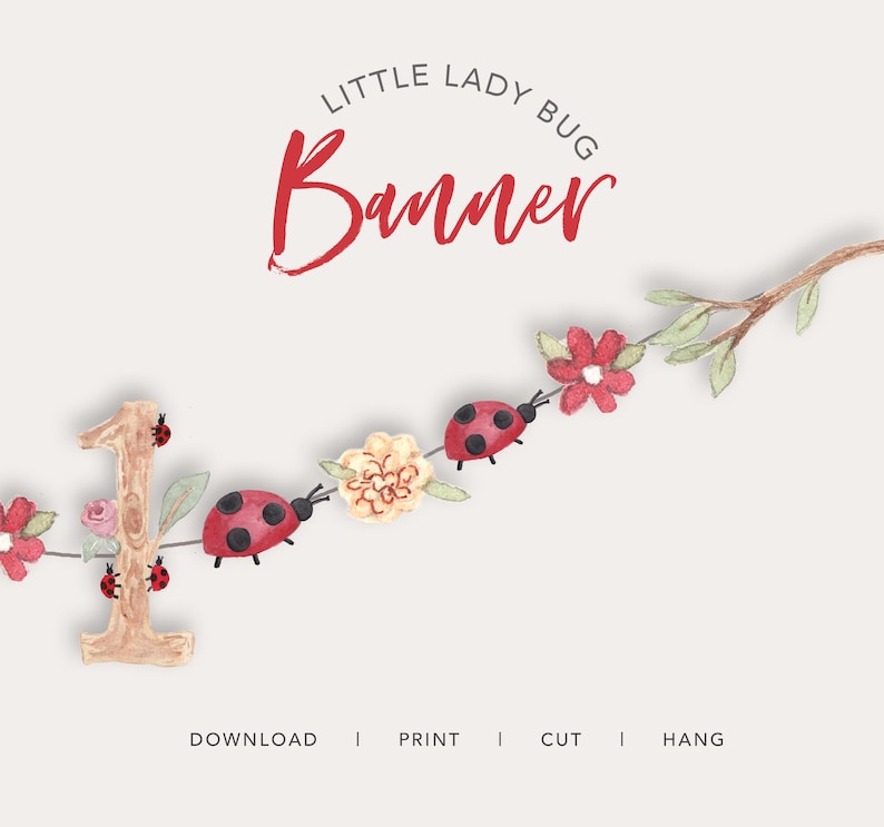 Printable Ladybug Banner for Little Lady Bug Birthday Party or Decor - Etsy