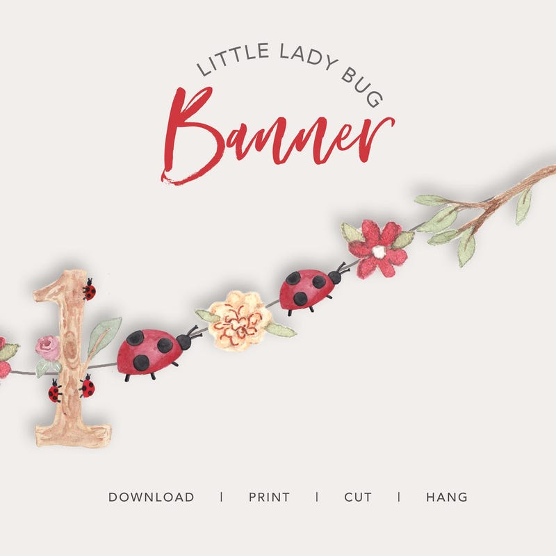Ladybug Banner - Etsy