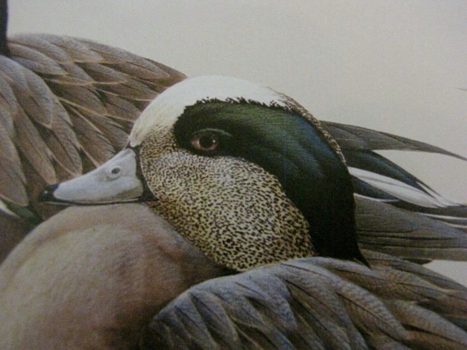 Art LaMay Print Whimsical Wigeons Matted 9 by 12 | Etsy