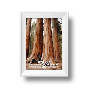 Sequoia National Park Poster | National Park Poster | National Park ...