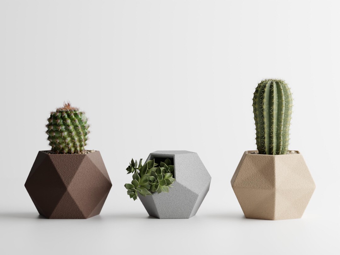 Geo Trio Plant Pot | Set of 3 | Plant Pot | Succulent Pot | Cactus Pot ...