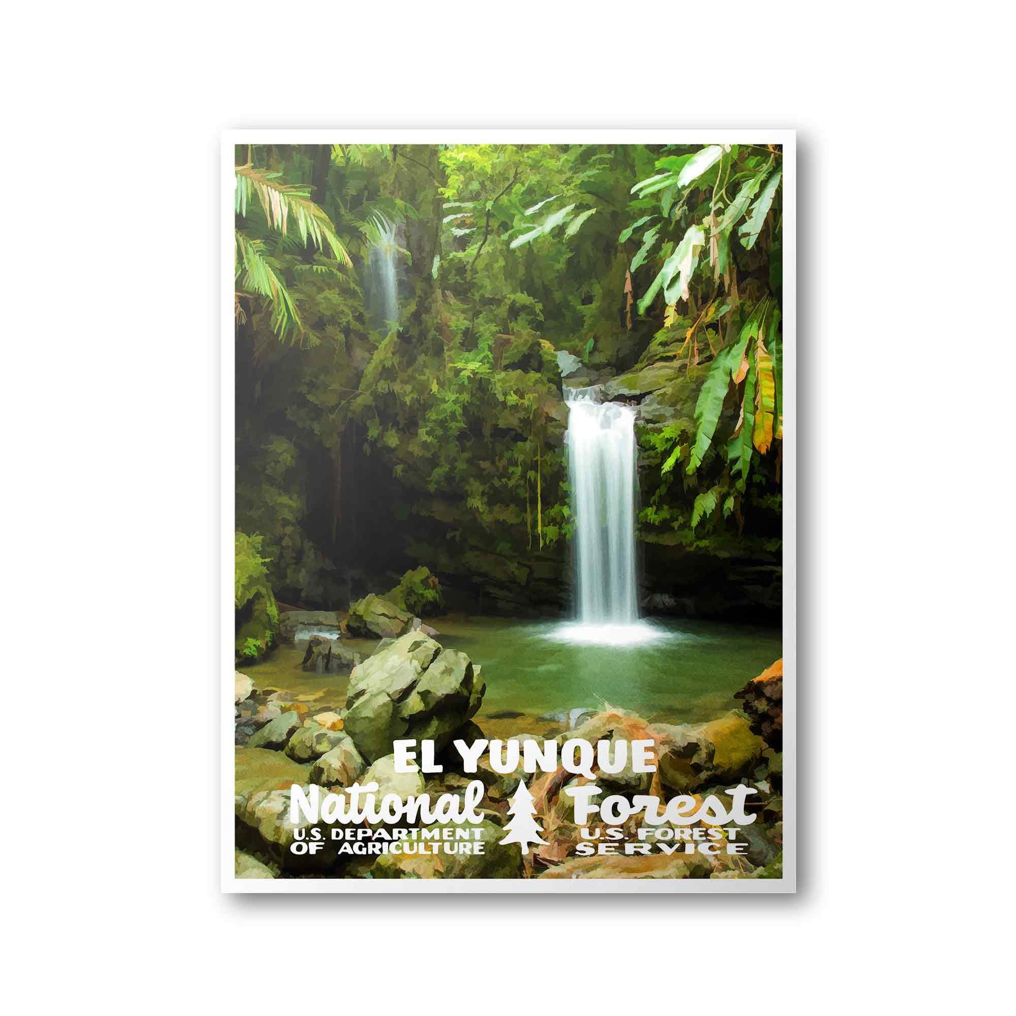 El Yunque Water Plants
