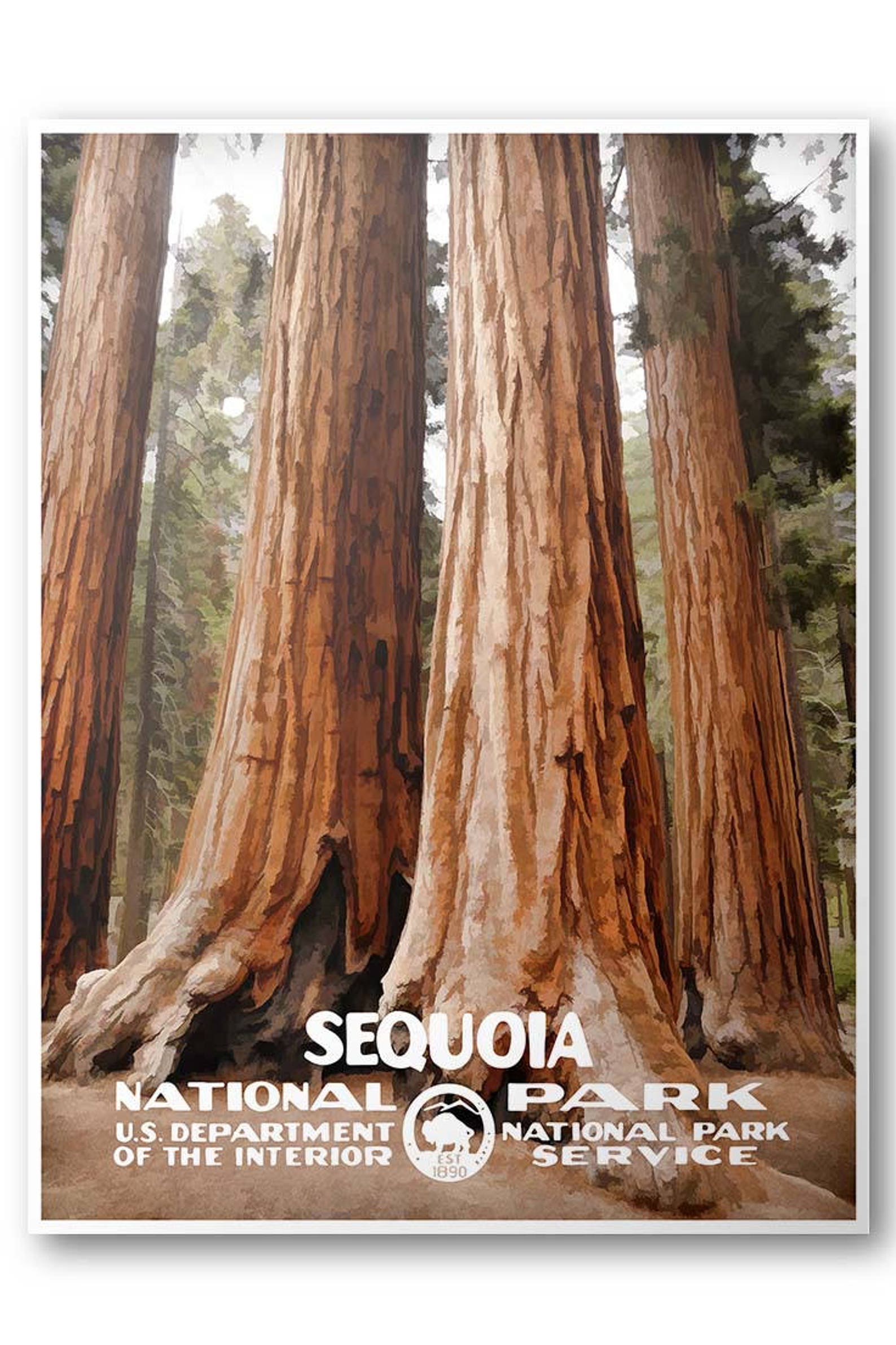 Sequoia National Park Poster | National Park Poster | National Park ...