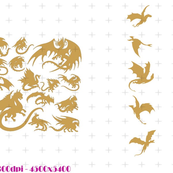 Dragon Rider Fourth Wing Png - Etsy
