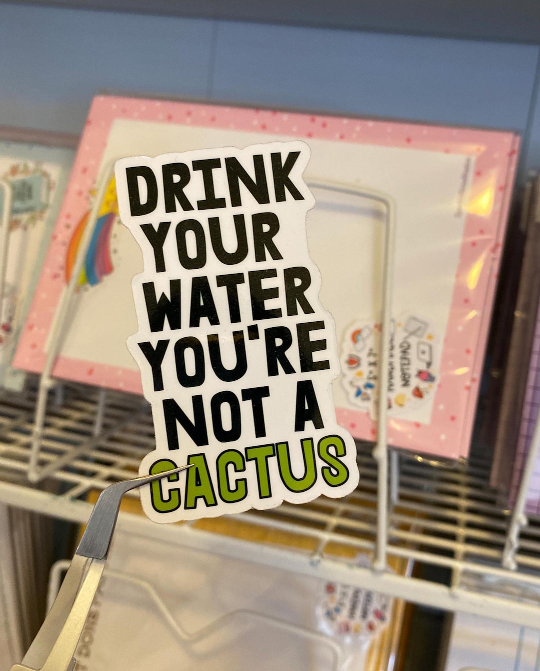 Waterproof Drink Your Water You're Not A Cactus Vinyl Stickers (laptop ...