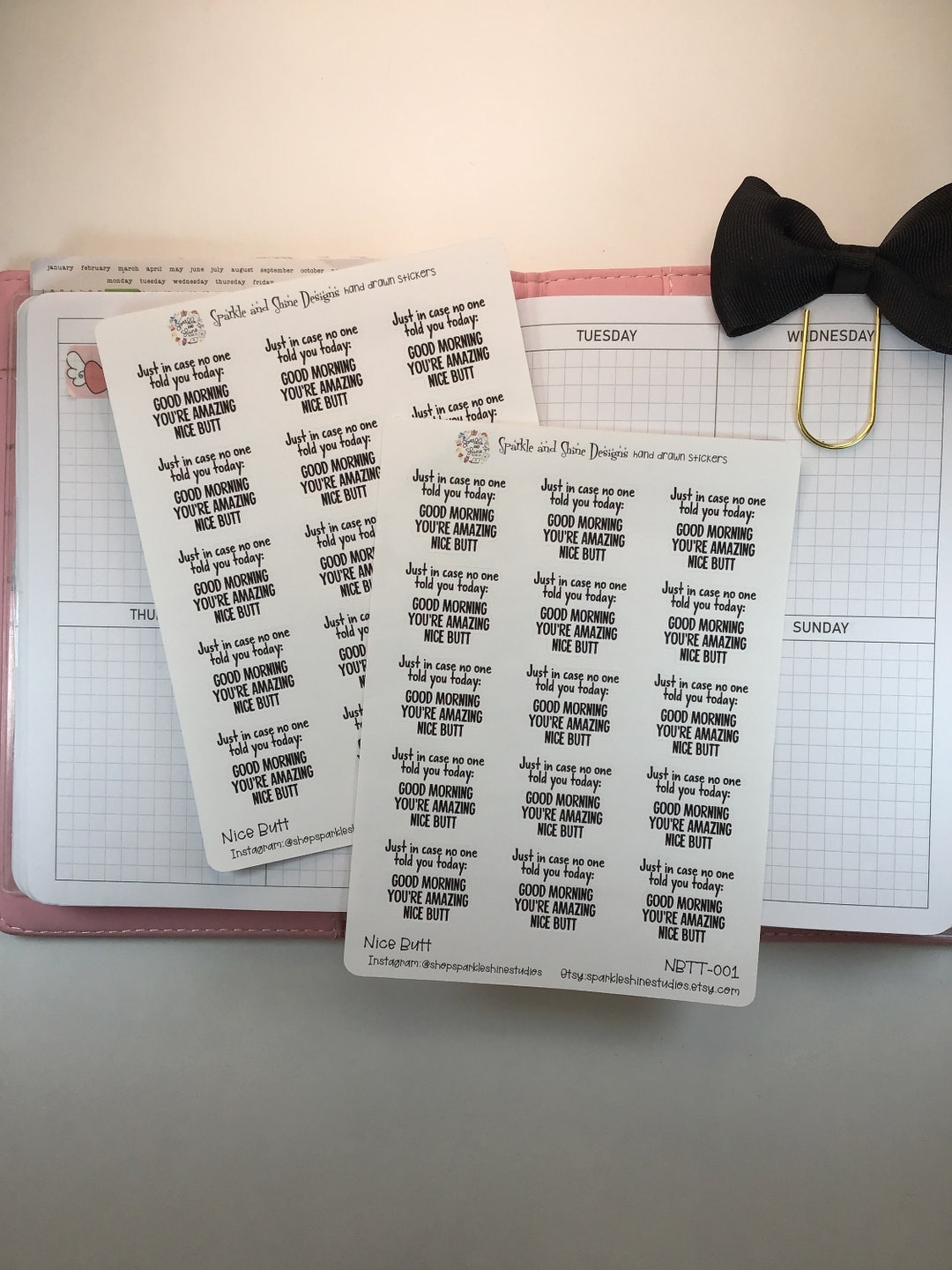 Just in Case No One Told You Today Sassy Snarky Planner Stickers - Etsy