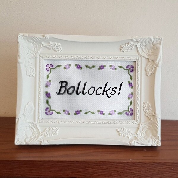 Rude Cross Stitch Pattern - Etsy UK