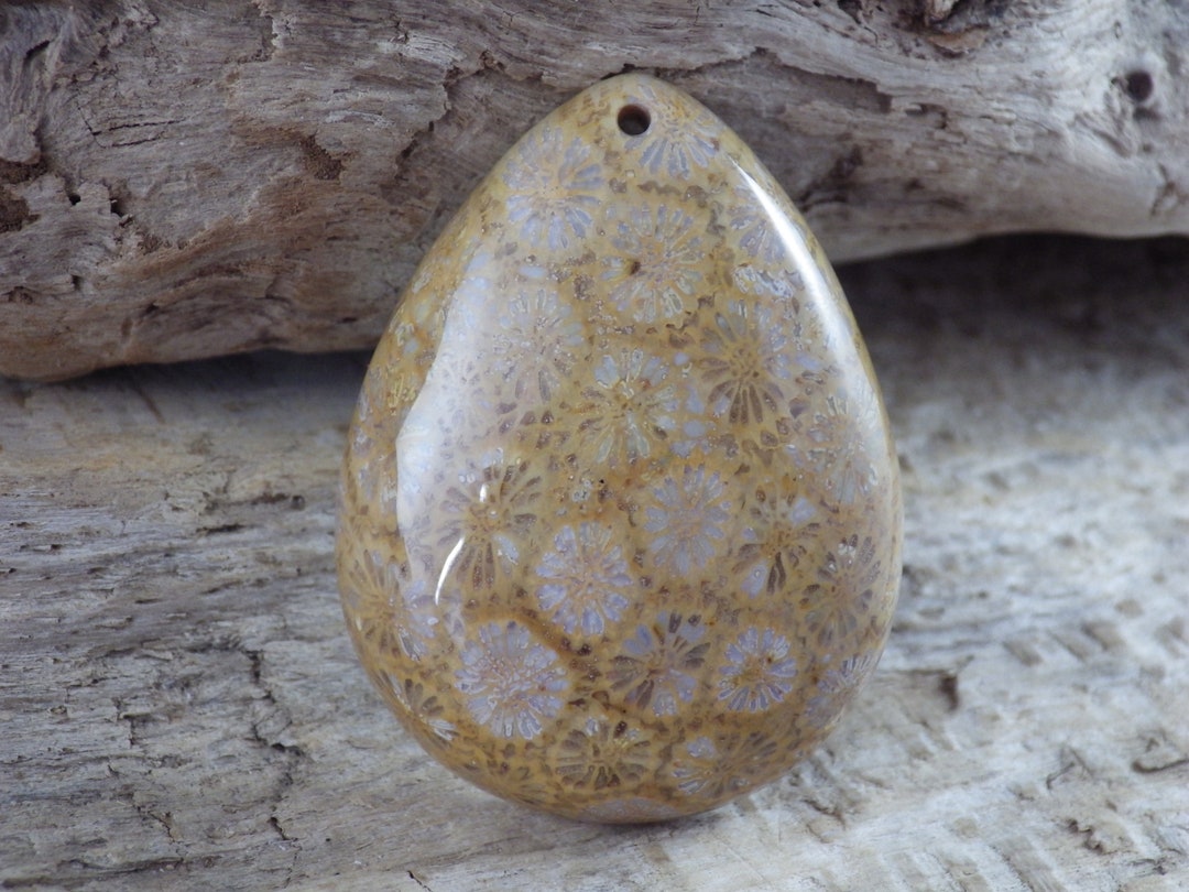 Fossil Coral Jasper Teardrop Pendant 41x31mm, Semi Precious Gemstone ...