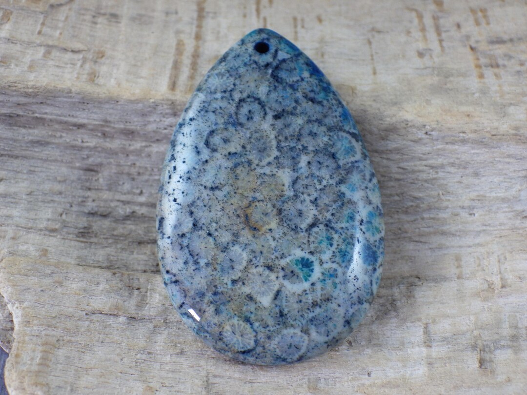 Blue Fossil Coral Jasper Semi Precious Gemstone Pendant 48x30mm, Top ...