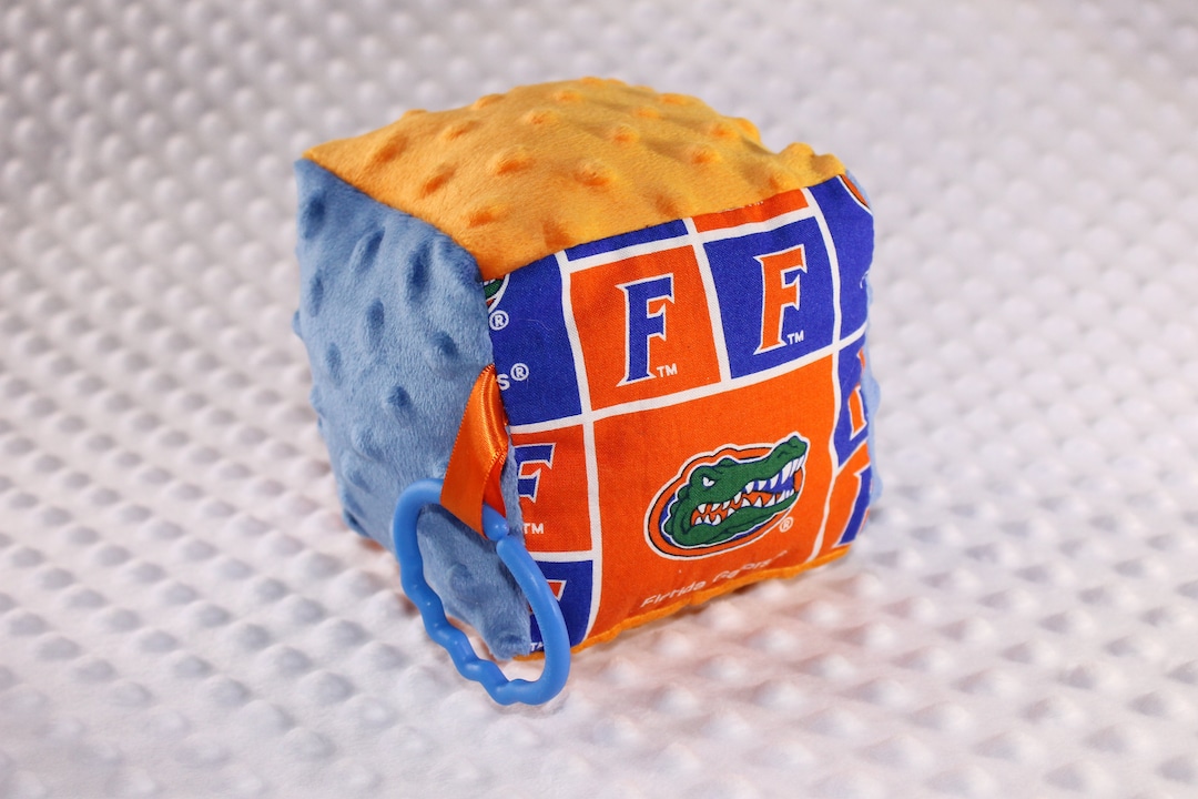 Sensory Block Florida Gators Inspired / Gators Baby / Florida Gators ...