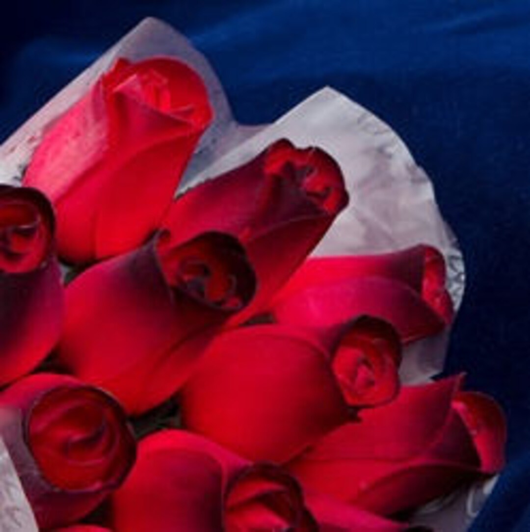 Red Roses Wood Bouquet "baker's Dozen" of 13 Roses in Sleeve Tied With ...