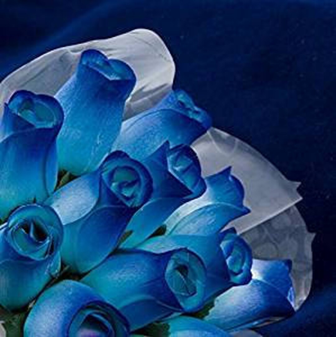 Blue "it's A Boy" Wood Rose Bouquet "baker's Dozen" of 13 Roses in ...