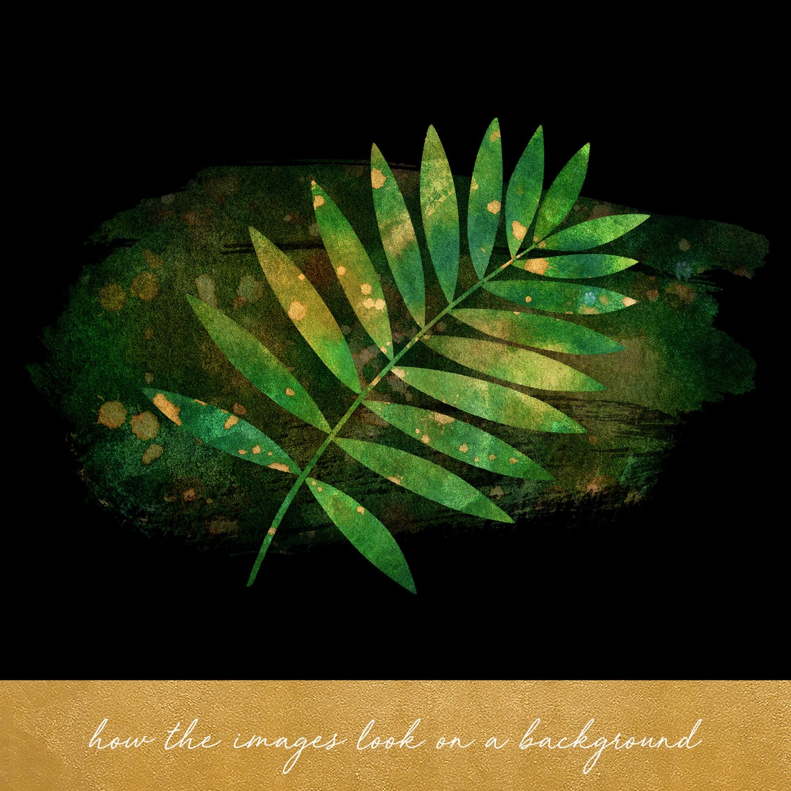 Tropical Leaf Clipart Set Green Leaves Rainforest Nature - Etsy