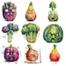 The Grumpy Vegetables Clipart Set - Cute & Funny Cartoon Watercolor ...