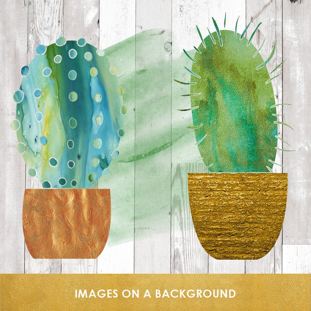Watercolor Cactus Clipart Set Cactus Succulent and - Etsy