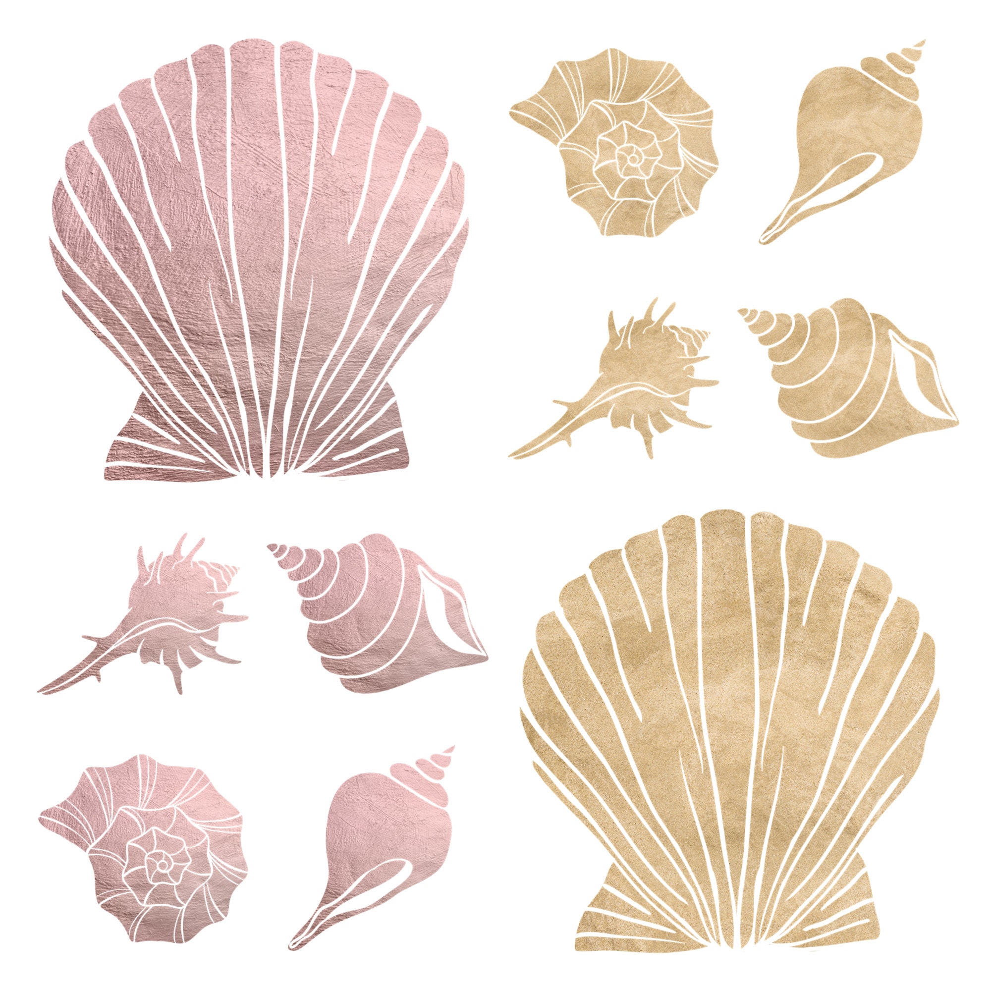 Seashell Clipart Set Lilac Shells Sand Textures Shiny - Etsy
