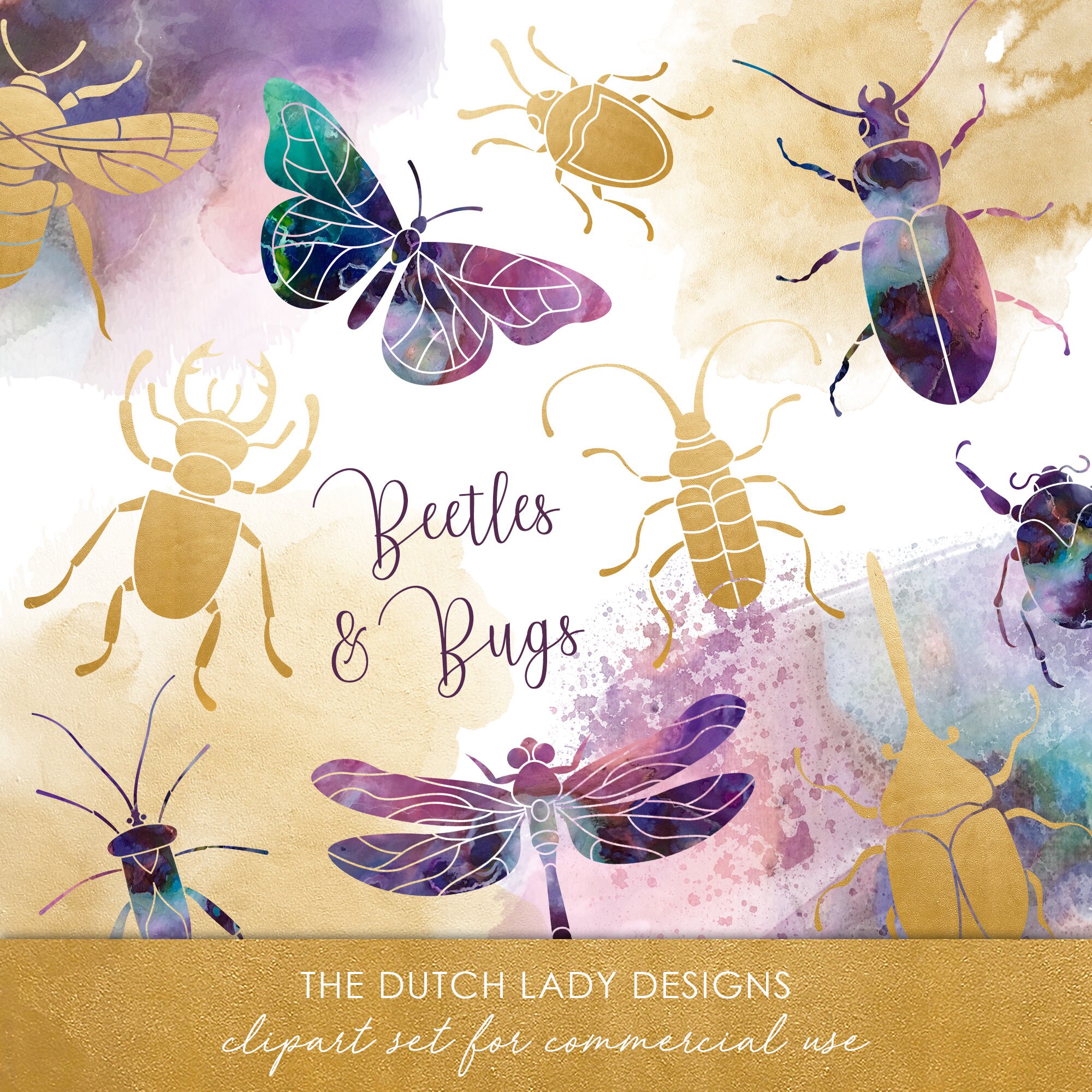 Beetles & Bugs Clipart Set Butterfly Dragonfly Insect | Etsy