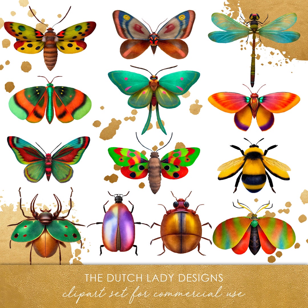 Beetles & Moths Clipart Set - Colorful Insect Graphics - Bugs ...