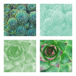 Digital Scrapbook Paper - Paint Style Succulents - Cactus Backgrounds ...